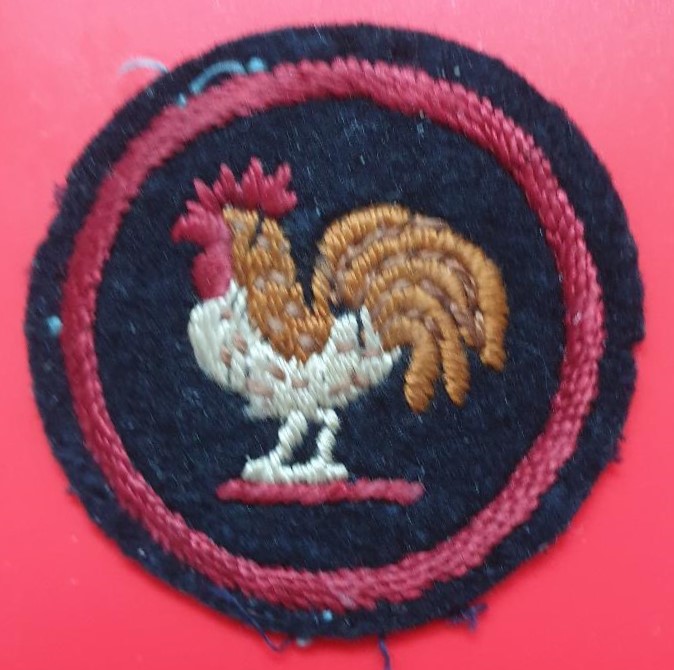 Six/Patrol Badges – Leslie's Guiding History