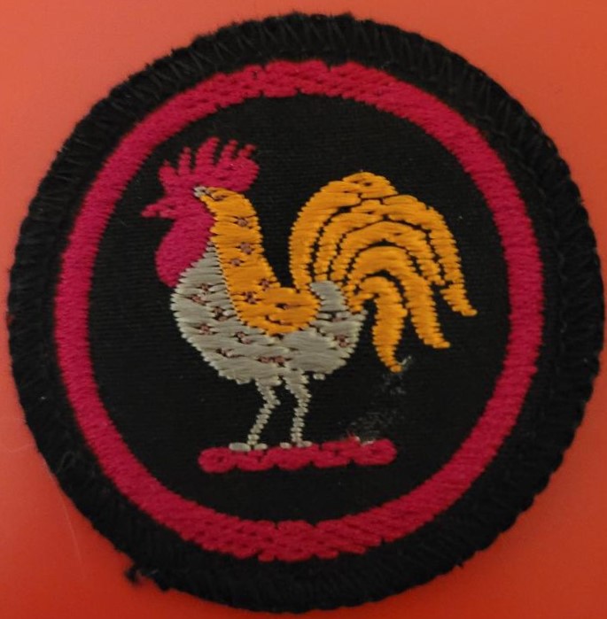 Six/Patrol Badges – Leslie's Guiding History