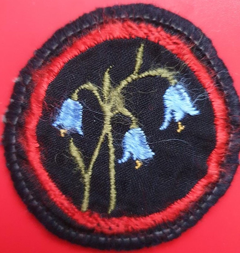 Six/Patrol Badges – Leslie's Guiding History