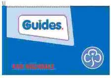 Flags – Leslie's Guiding History